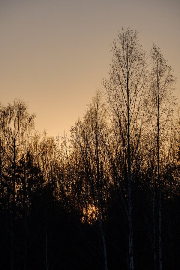 Dramatatic Red Dark Sunset Over the Fields and Cities Stock Photo ...