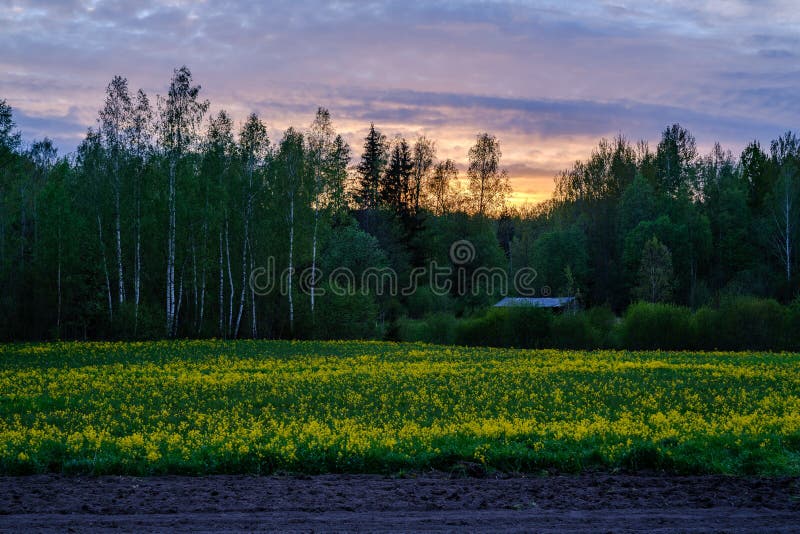 Dramatatic Red Dark Sunset Over the Fields and Cities Stock Image ...