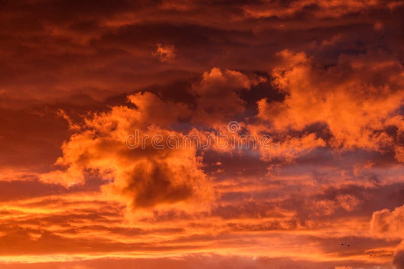 Dramatatic Red Dark Sunset Over the Fields and Cities Stock Image ...