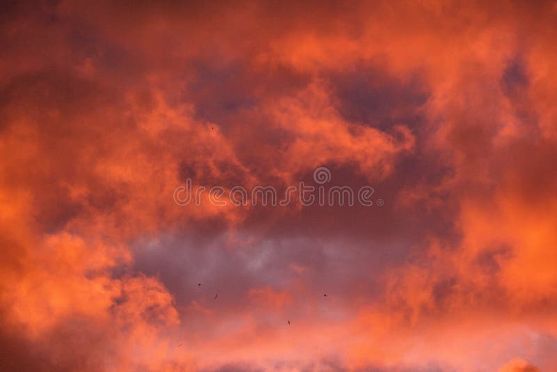 Dramatatic Red Dark Sunset Over the Fields and Cities Stock Photo ...