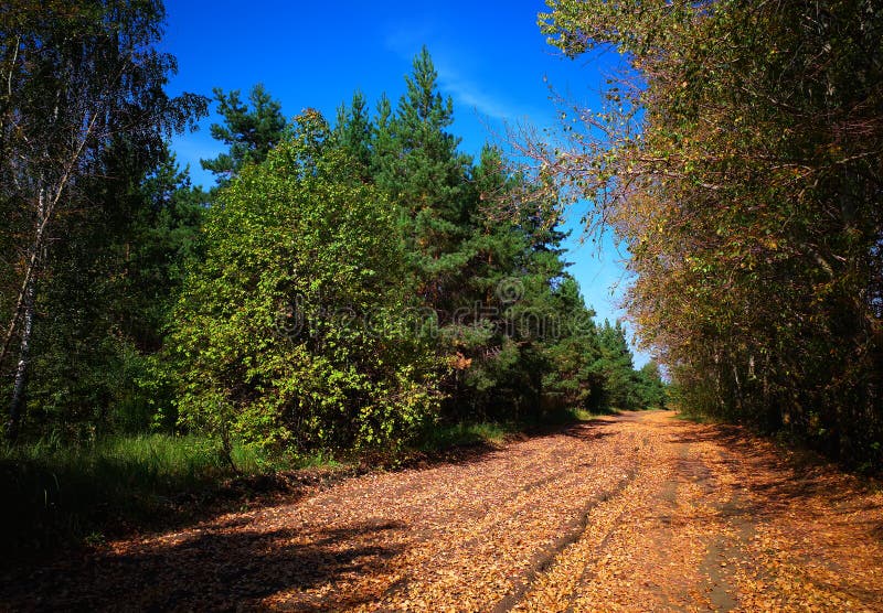 Dramatic Autumn Countryside Road Background Stock Photo - Image of ...