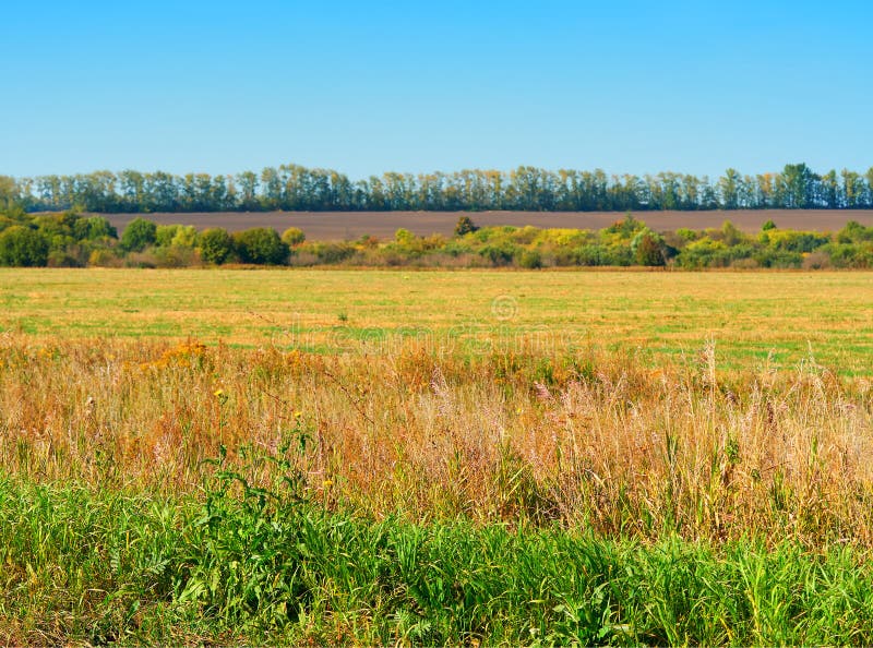 Dramatic Autumn Meadow during Sunset Landscape Backdrop Stock Image ...