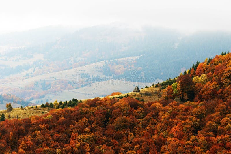 Dramatic Autumn in Romanian Mountains Stock Image - Image of colorful ...