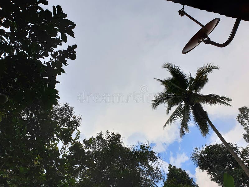 Dramatic Backdrop of Sky and Clouds with Trees, Sky Background Stock ...