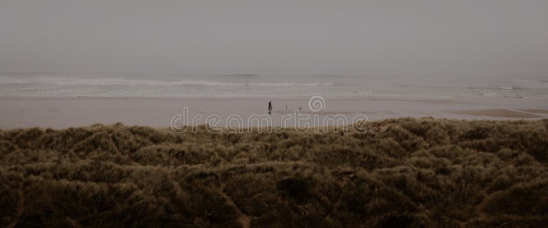 Dramatic Beach People Walking Stock Image - Image of sand, wave: 308312787