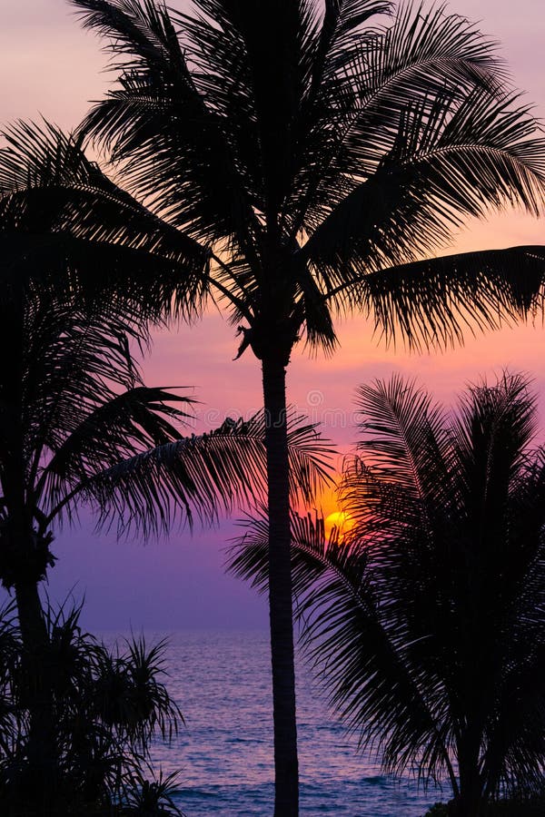 Dramatic Beautiful Sunset Twilight Sky with Sun of Tropical Climate ...