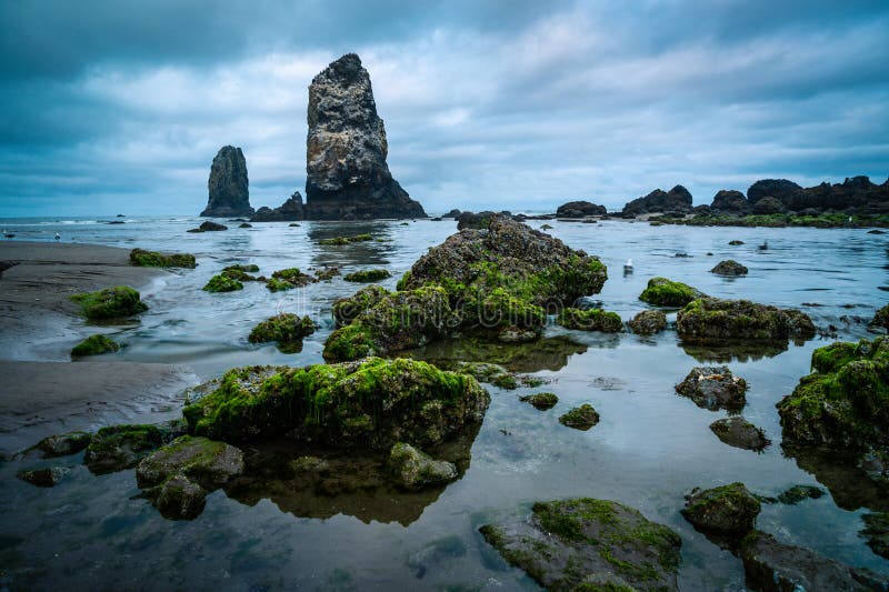 Dramatic Blue Light Over Needles in Cannon Beach, Oregon Stock Photo ...