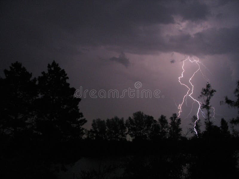 A Dramatic Bolt of Branching Lightning Silhouettes Foreground Trees ...