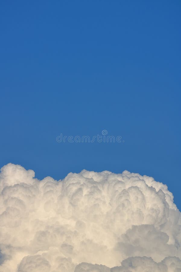 Natural Dramatic White Cloud Green Trees Background Wallpaper Stock ...