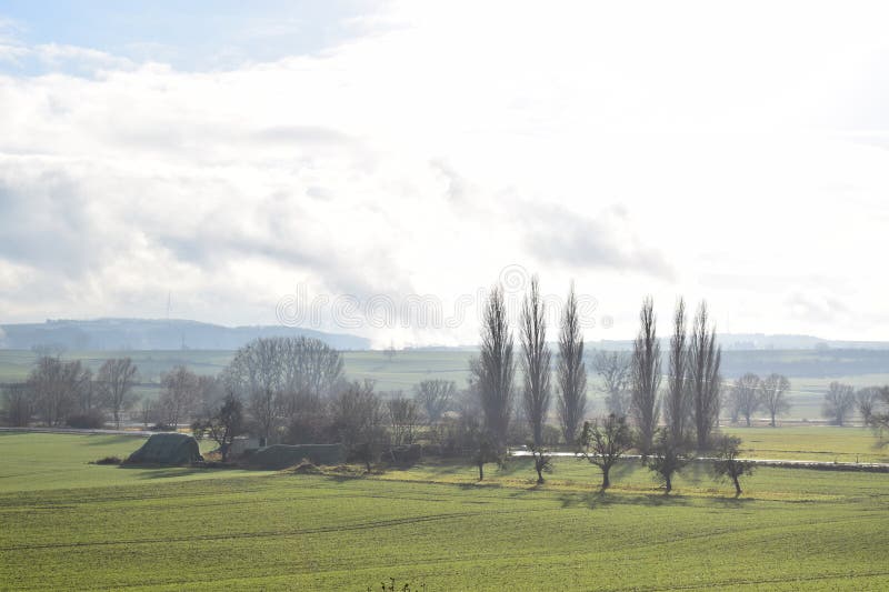 Dramatic Clouds and Fog Behind Cypress Trees Stock Image - Image of ...