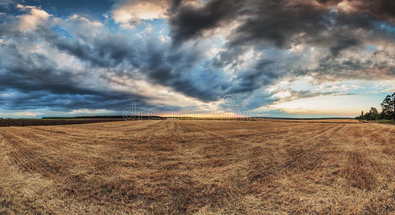 Dramatic Clouds Over the Field after Harvest Stock Photo - Image of ...