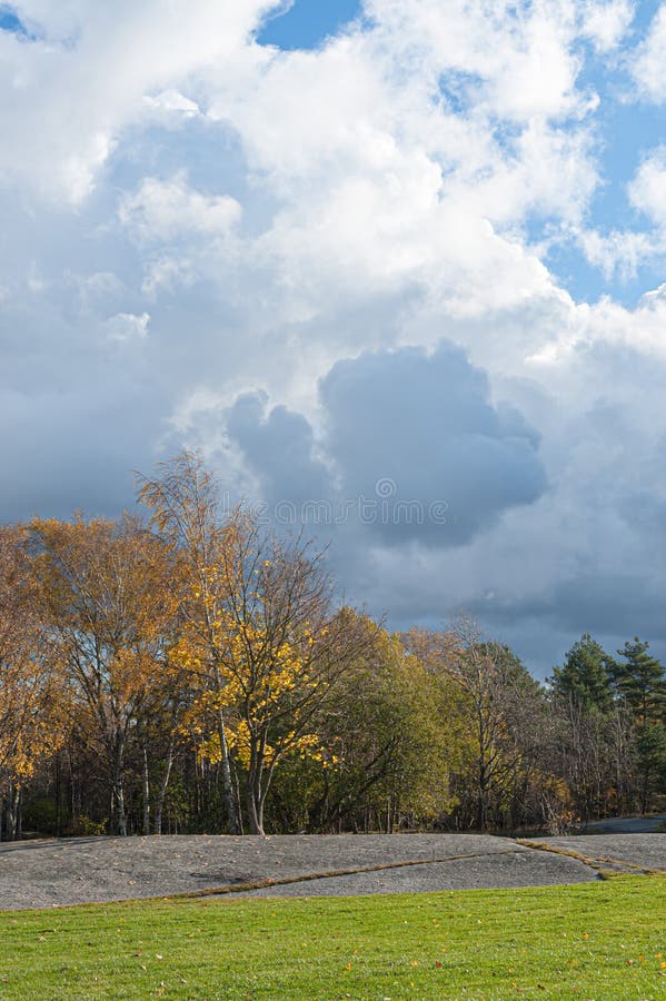 Dramatic Clouds Over Trees with Yellow Leaves Stock Image - Image of ...