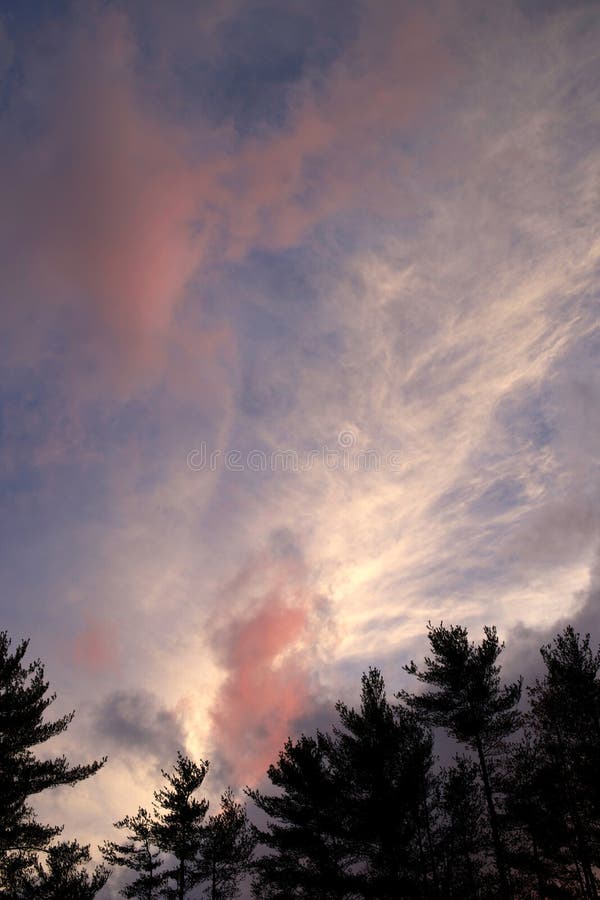 Dramatic Cloudscape Over Trees Picture. Image: 83077827