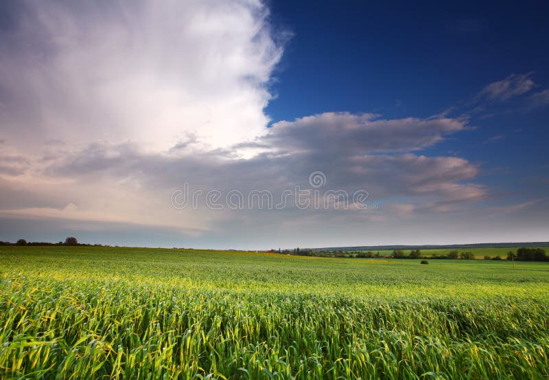 Dramatic clound on field stock photo. Image of path, agricultural ...