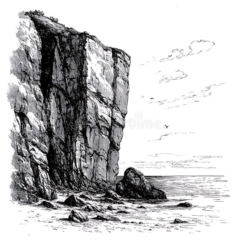 Dramatic Coastal Cliff Face, Ocean, Rocks, Birds Stock Illustration ...