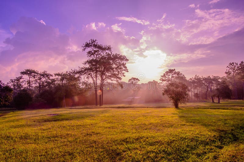 25,258 Colors Field Sunset Stock Photos - Free & Royalty-Free Stock ...