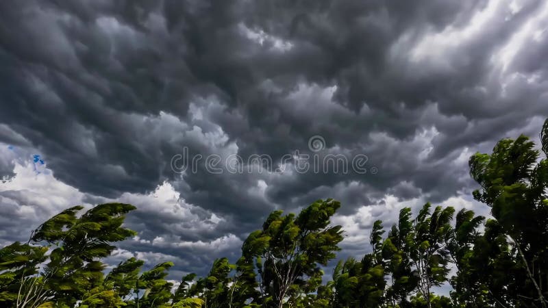 Dramatic Dark Storm Clouds Overwind-swept Trees, Ominous Weather ...