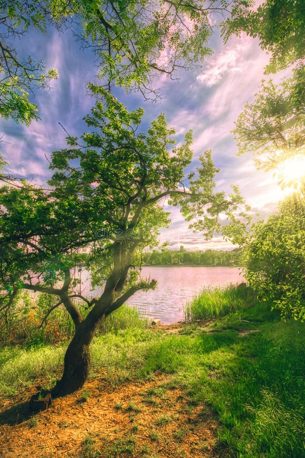 Dramatic Daylight Lake Landscape Stock Image - Image of calmness ...