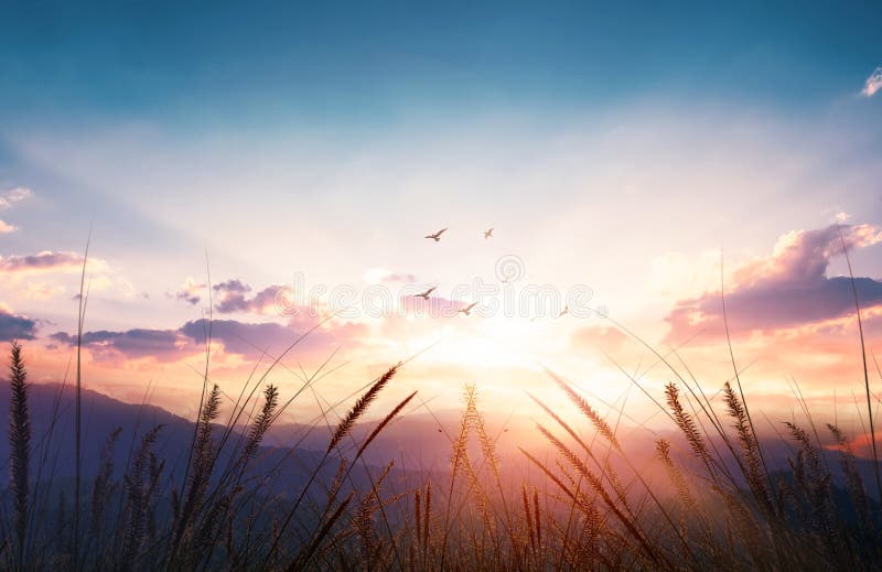 Dramatic Evening Sky with Clouds and Rich Sunny Light Stock Photo ...