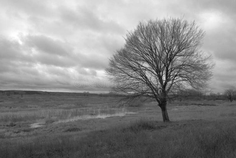 Dramatic fall landscape stock photo. Image of nature - 40224052