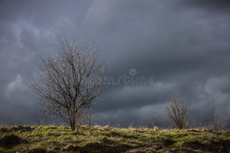 Dramatic Fall Color Along the North Fork Bishop Creek, Sierra Nevada ...