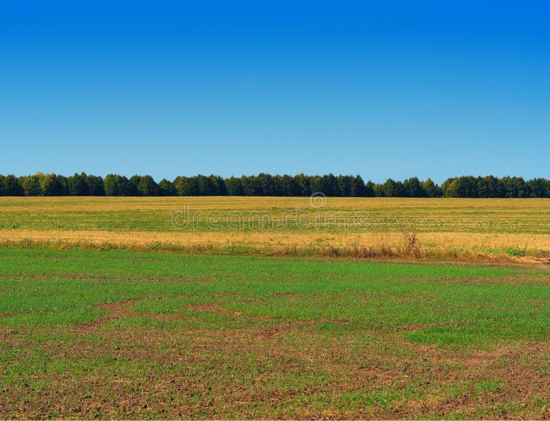 Dramatic Farming Meadow Landscape Background Stock Photo - Image of ...
