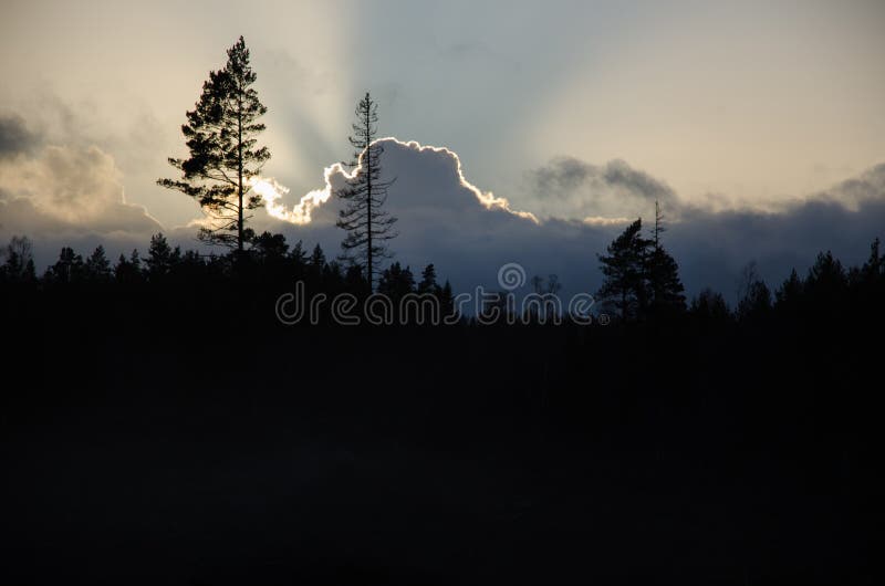 Dramatic Forest and Clouds Silhouettes Stock Photo - Image of conifer ...