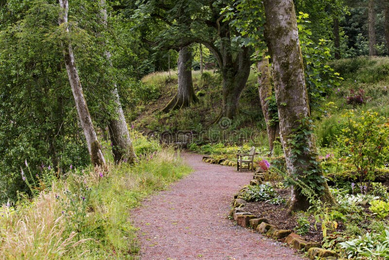 Dramatic forrest path stock photo. Image of mystical - 58532516