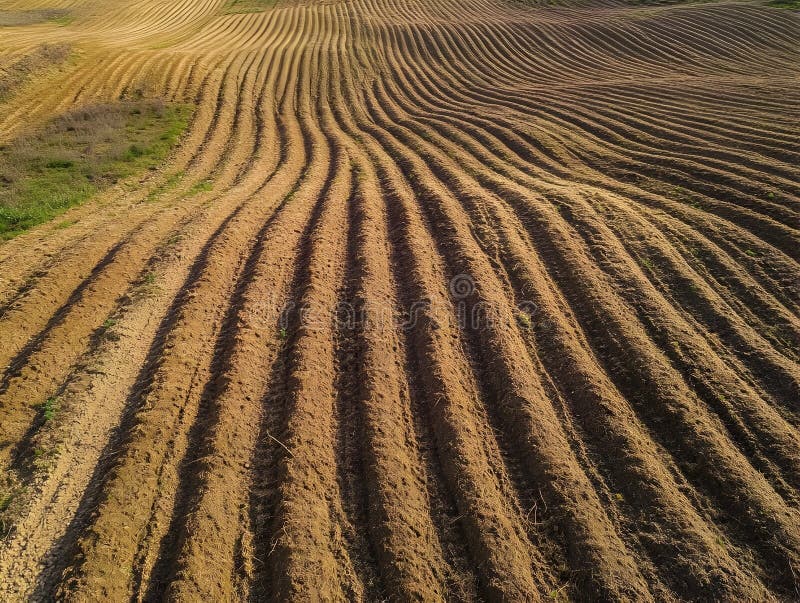 Dramatic Furrows and Patterns of Ploughed Agricultural Field Backdrop ...