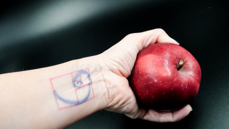 Golden Ratio Human Stock Photos - Free & Royalty-Free Stock Photos from ...