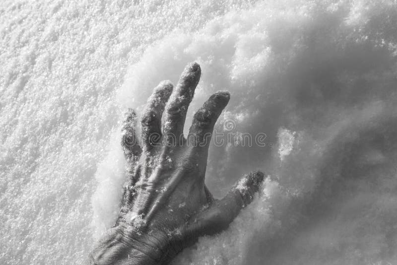 Dramatic Hand in the Snow. in the Winter Forest Freezes People. Tragedy ...