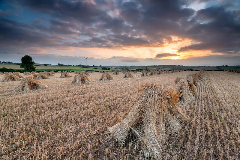 Dramatic Harvest Sunset stock image. Image of devon, farmland - 74952723