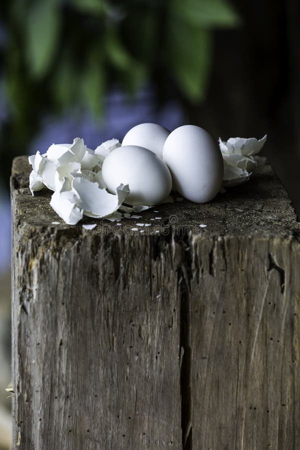 Dramatic Image of Cracked Egg Shells with Whole White Eggs and Bowl of ...