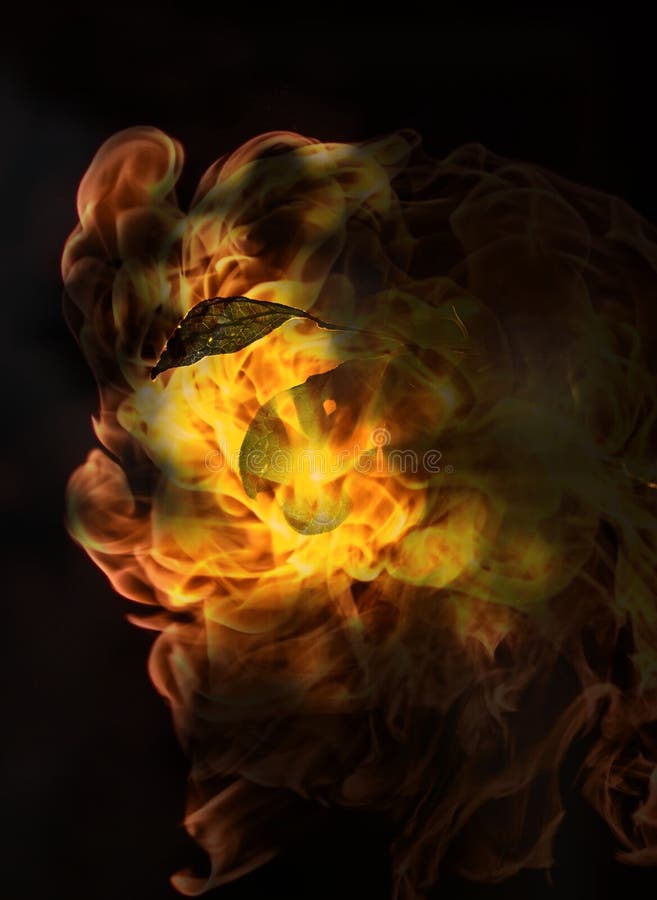 Dramatic Image of a Leaf Engulfed in Vibrant Flames Against a Dark ...