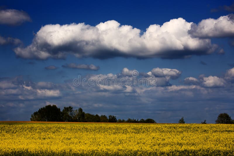 Dramatic Landscape stock photo. Image of majestic, environment - 1746638
