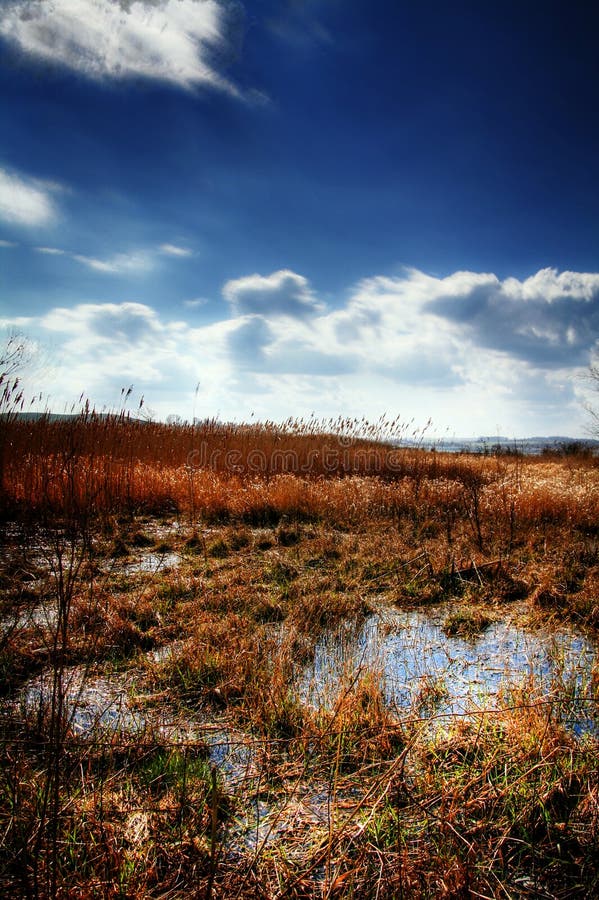 Dramatic landscape stock photo. Image of cumulus, clouds - 11349770