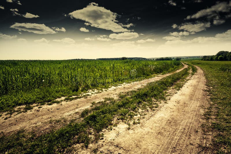 Landscape of Empty Land Plot for Development, and Beautiful Blue Sky ...