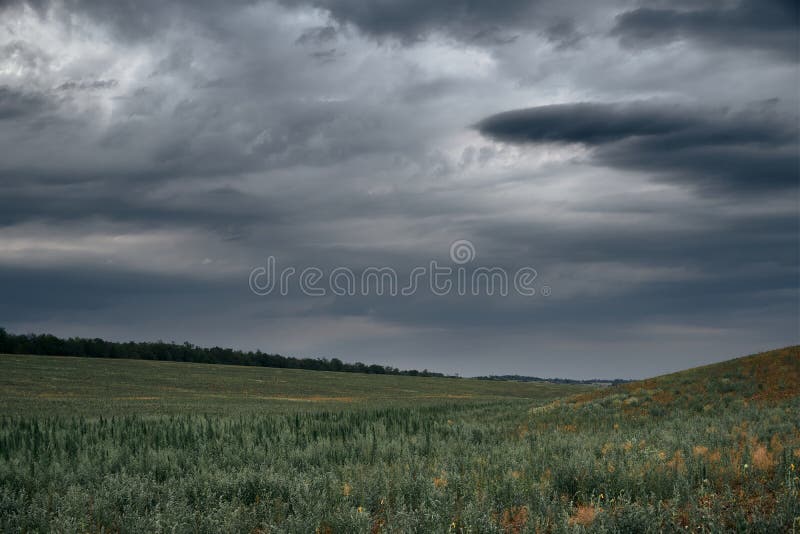 Dramatic Landscape with Grass and Dark Sky Stock Photo - Image of ...