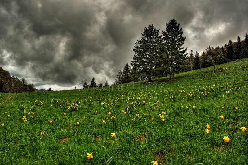 Dramatic Landscape HDR stock image. Image of path, dynamic - 31920827