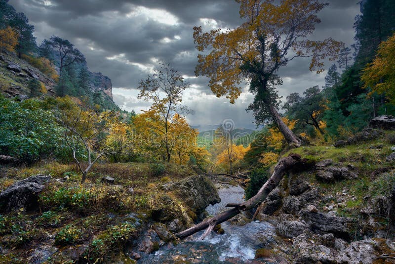 Dramatic Landscape that Highlights a Large Tree Stock Photo - Image of ...