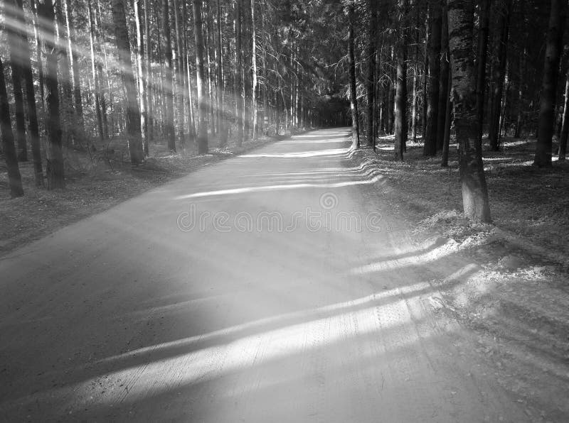 Dramatic Sun Rays Light Leak Background Stock Image - Image of minimal ...