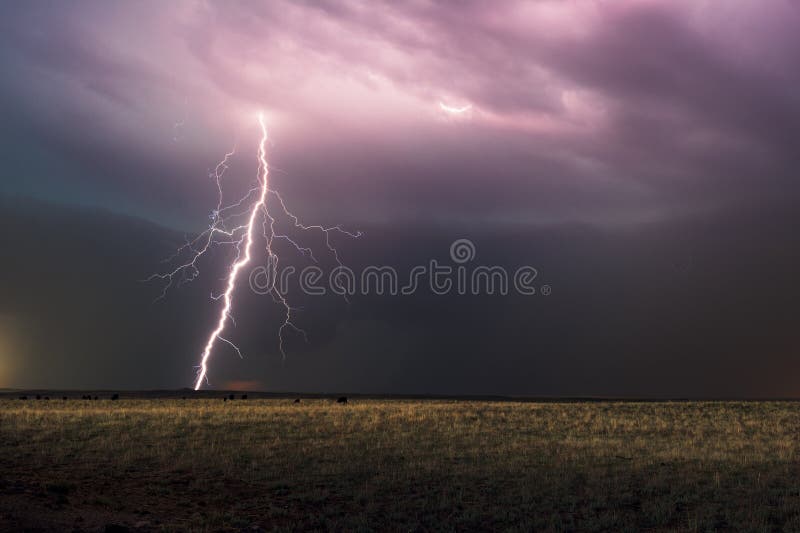 Dramatic Lightning Bolt Striking from a Thunderstorm Stock Image ...