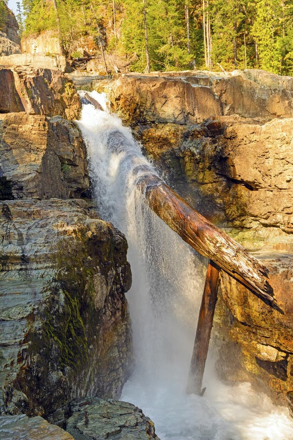 Dramatic Log Jam on a Waterfall Stock Image - Image of nature ...