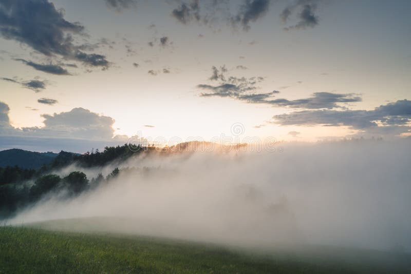 Dramatic Mist Over Trees in a Field at Sunset Stock Photo - Image of ...