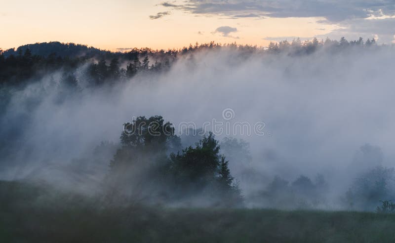 Dramatic Mist Over Trees in a Field at Sunset Stock Image - Image of ...