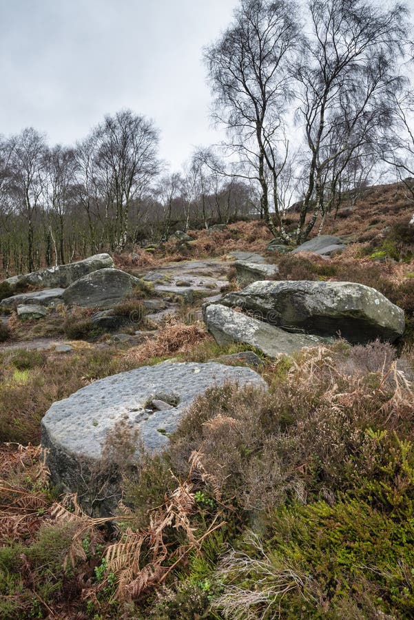 Dramatic Moody Winter Landscape Image of Peak District in England ...