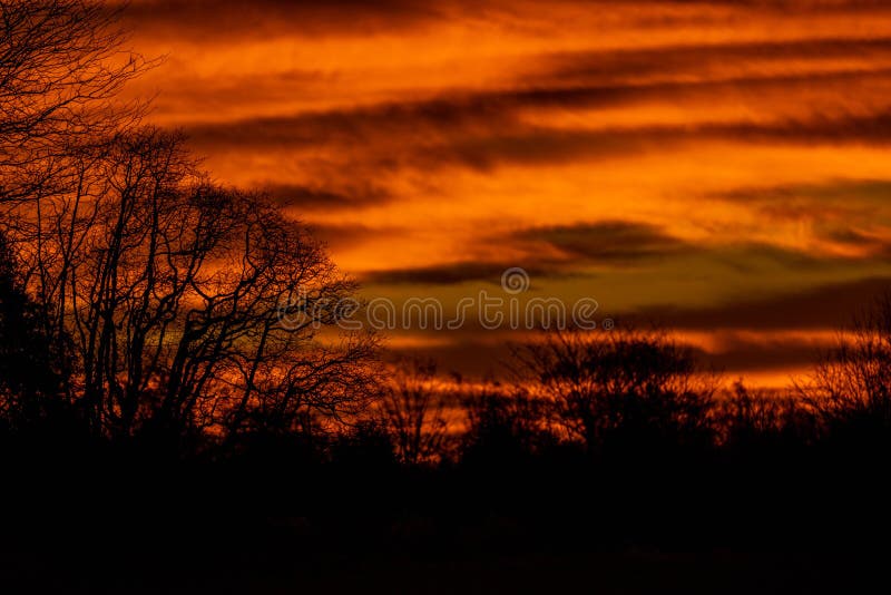 Dramatic Orange Sunset Over the Silhouettes of Trees Stock Image ...