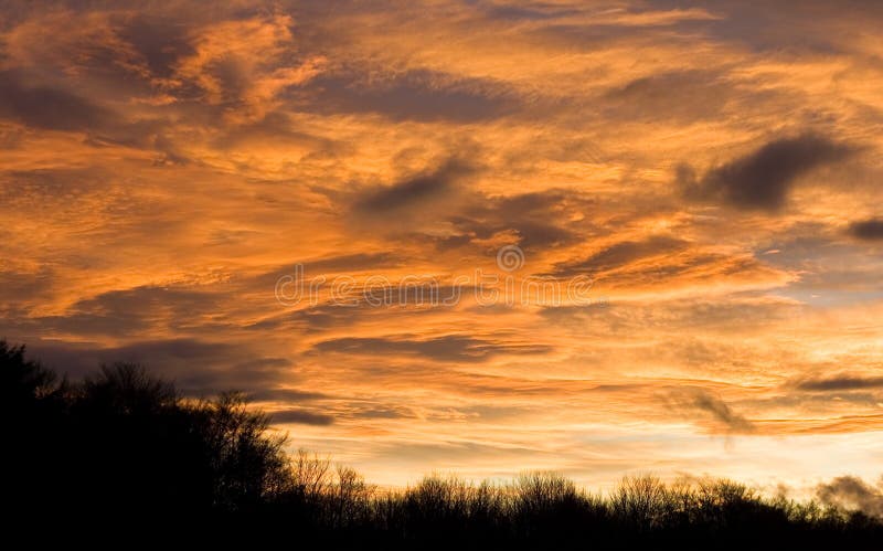 Dramatic Peachy Sunset Sky Over Dark Treeline Stock Photo - Image of ...