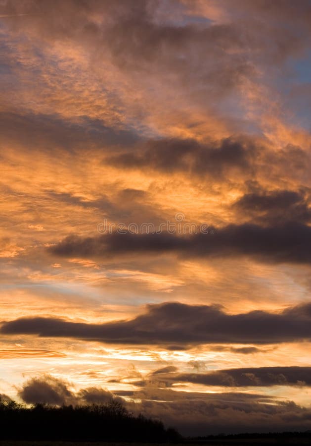 Dramatic Peachy Sunset Sky Over a Treeline Stock Photo - Image of ...