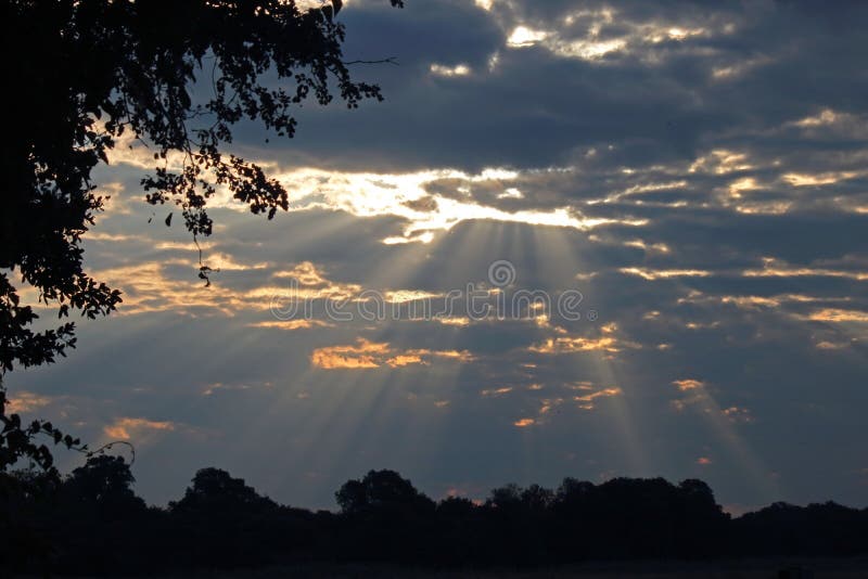 Dramatic Play of Cloud on Light Above the African Bush Stock Image ...